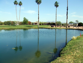 Seepage Control, Inc. -- Case Studies for Lake and Pond Sealing with ESS-13