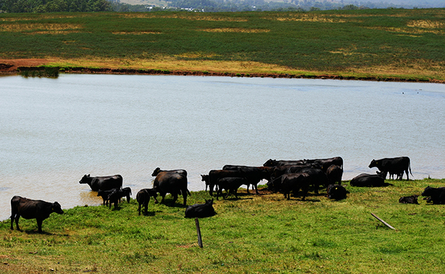 Seepage Control, Inc. -- Project Gallery